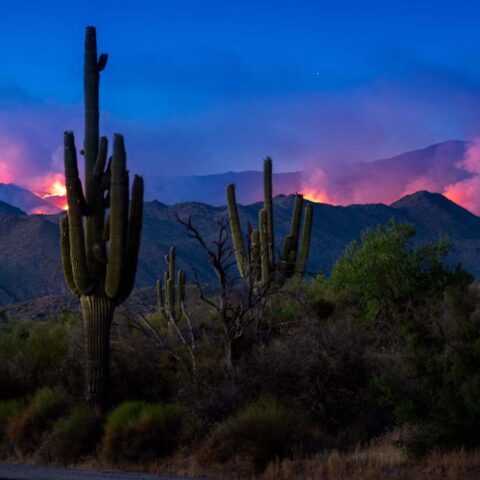 Arizona wildfire smoke affecting desert communities at dusk ...